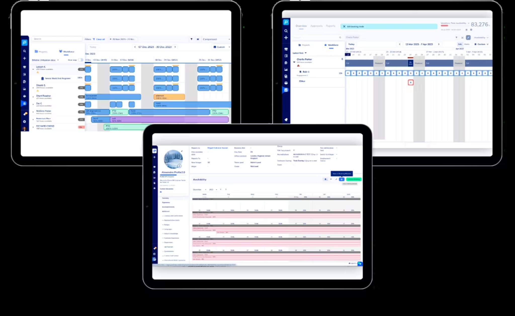 Workforce Optimisation for the Professional Services Sector